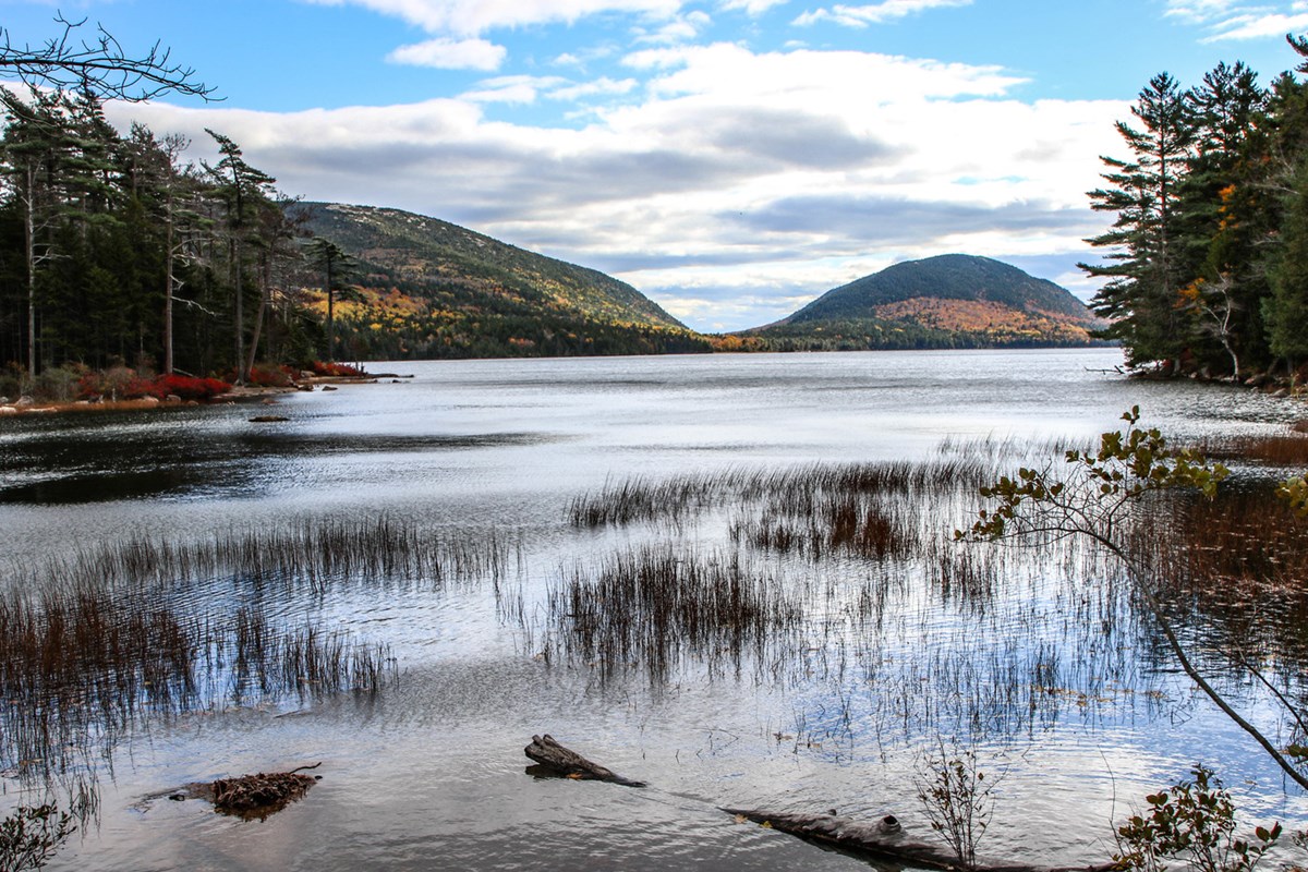 Climate Change - Acadia National Park (U.S. National Park Service)