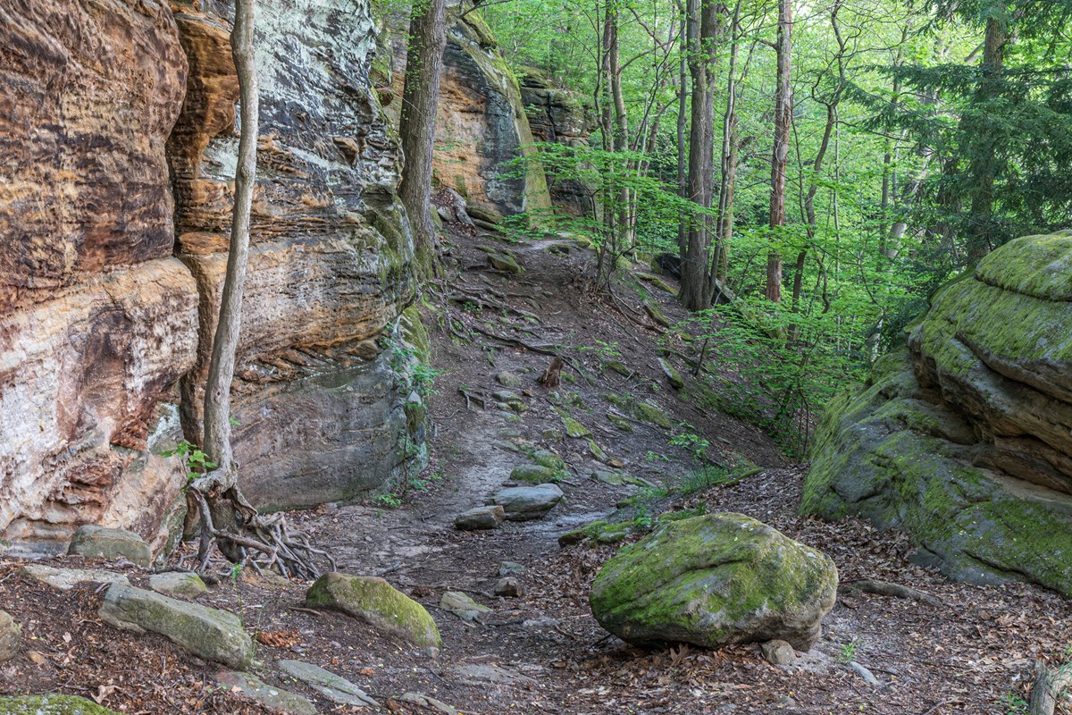 Learn about Geology: Rocks, Ice, and River (U.S. National Park Service)