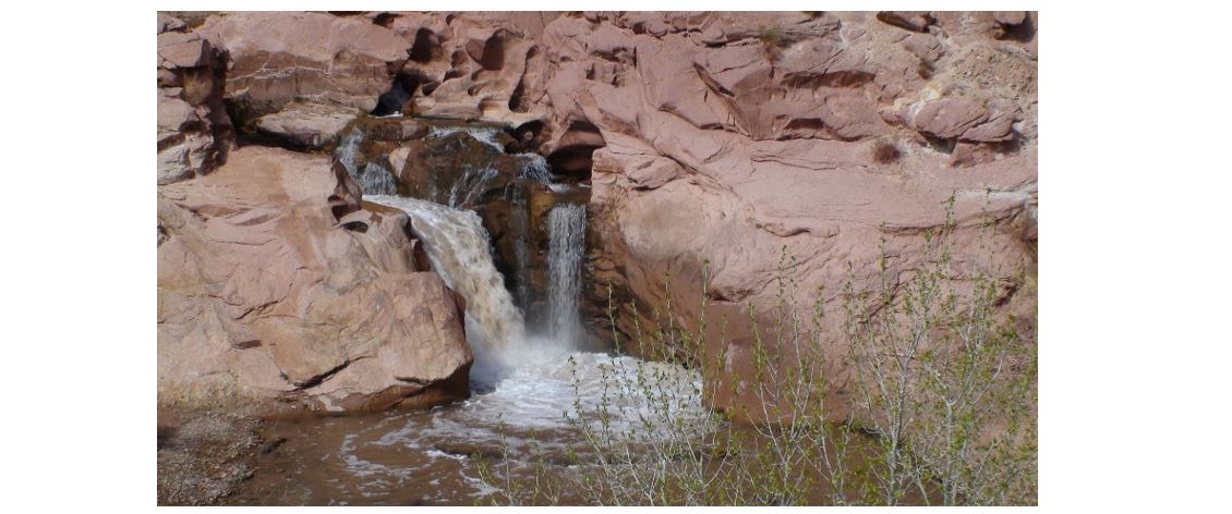Assessing the Condition of Fish in Capitol Reef (U.S. National Park ...