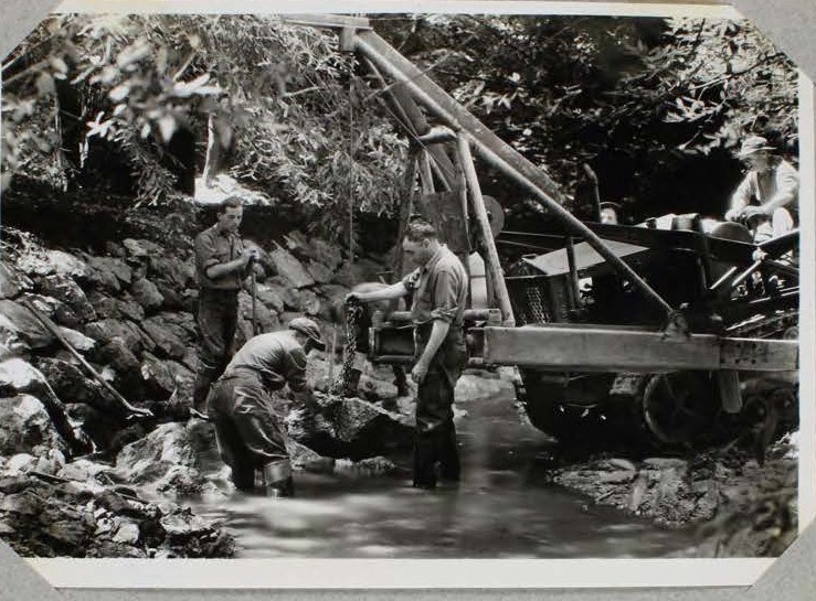 Civilian Conservation Corps Work at Muir Woods (U.S. National Park Service)