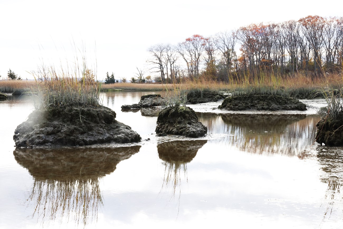 NPB's First-Ever Climate Conservation Corps Crew Completes One Year of ...