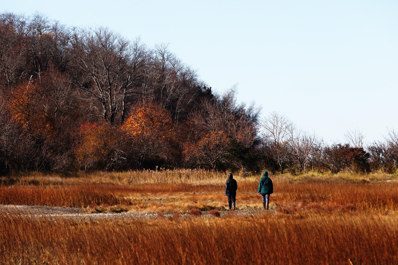 NPB's First-Ever Climate Conservation Corps Crew Completes One Year of ...