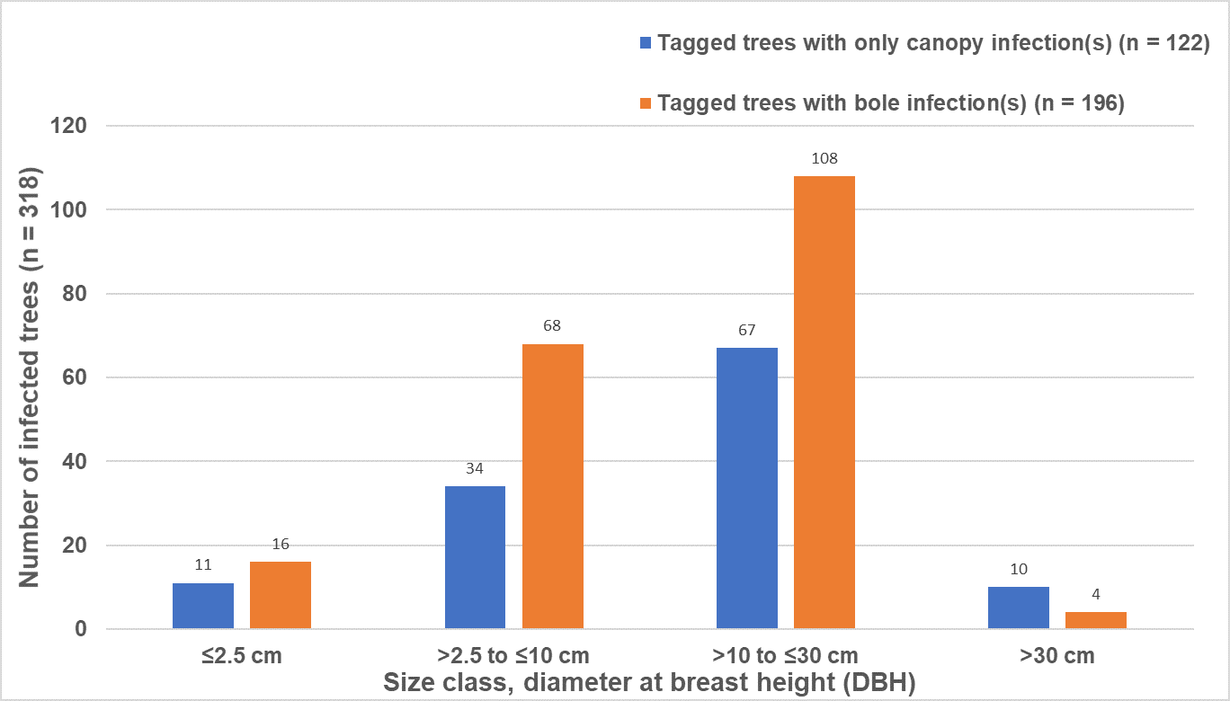 White Pine Blister Rust Infection in Whitebark Pine in the Greater ...
