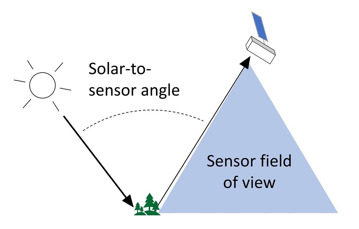 Grand Canyon webcam records plant phenology that contradicts satellites ...