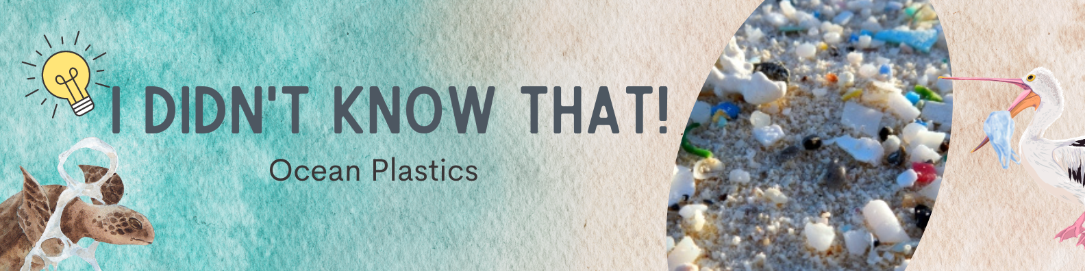 I Didn't Know That!: Ocean Plastics (U.S. National Park Service)