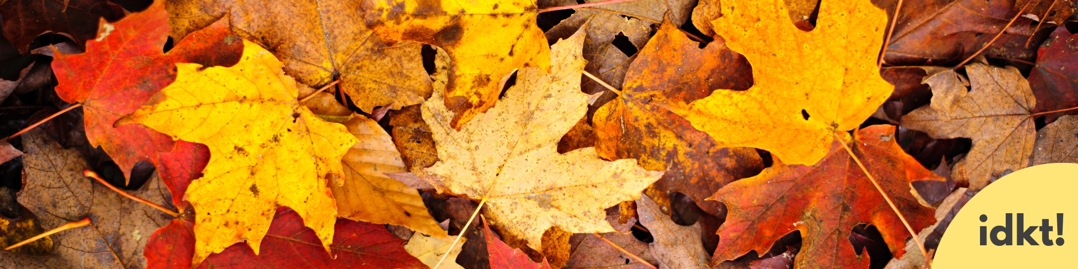 I Didn't Know That!: Leave the Leaves (U.S. National Park Service)