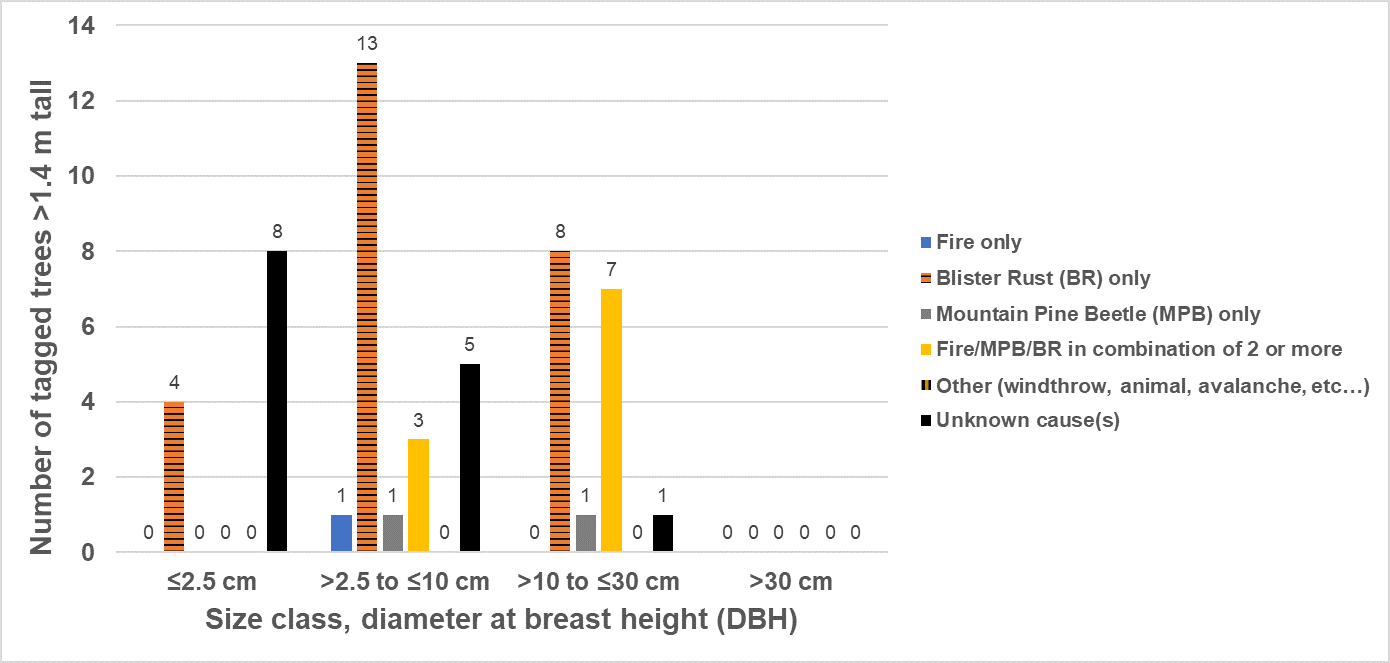 Whitebark Pine Mortality in the Greater Yellowstone Ecosystem – Data ...
