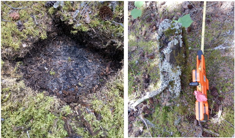 Uncharted Flames: NPS Alaska fire ecology team discovers evidence of an ...