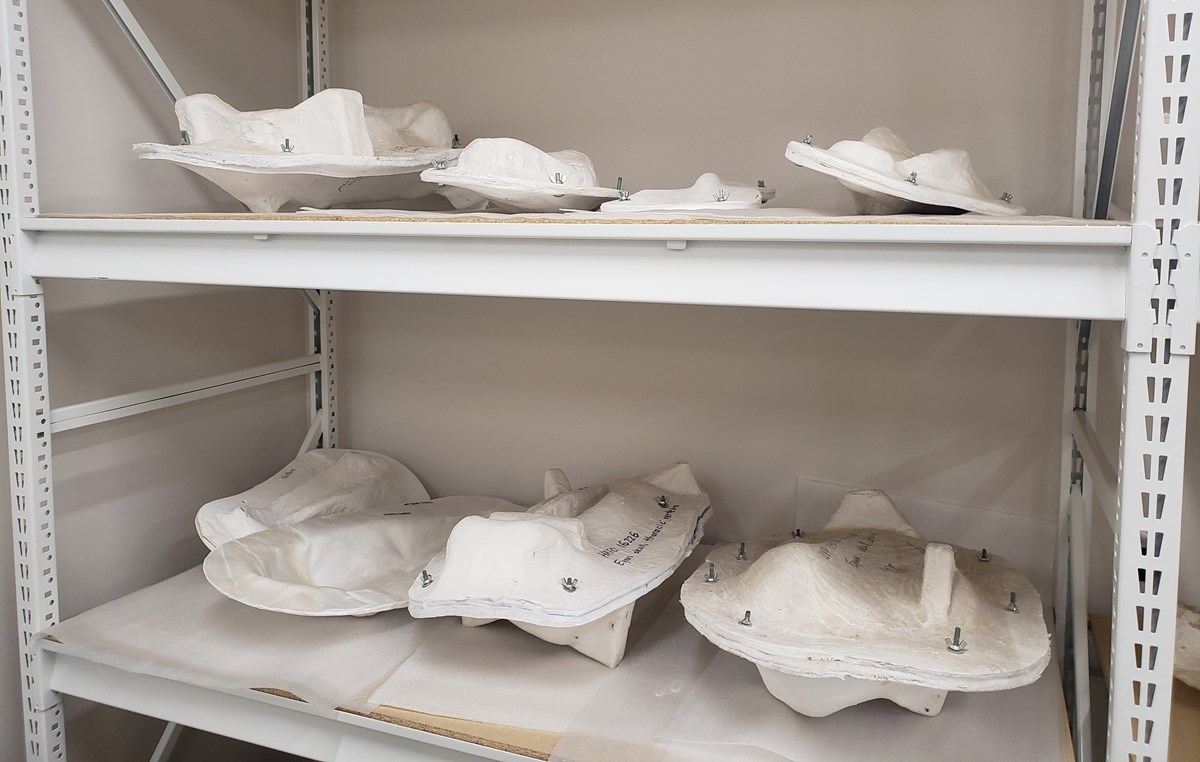 The Importance of Paleontology Collections (U.S. National Park Service)