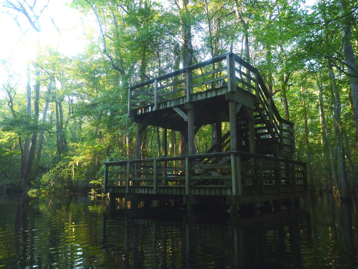 Audubon Center at Francis Beidler Forest #TakeovertheNetwork (U.S ...