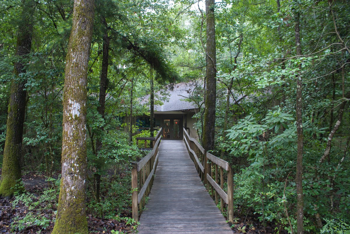 Audubon Center at Francis Beidler Forest #TakeovertheNetwork (U.S ...