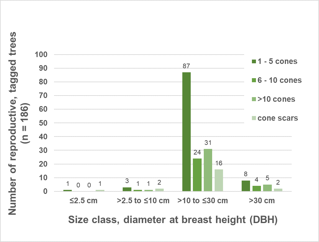 Whitebark Pine Recruitment in the Greater Yellowstone Ecosystem – Data ...