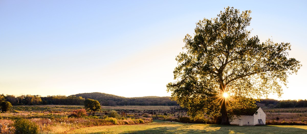 2021 Weather In Review: Valley Forge National Historical Park (U.S ...