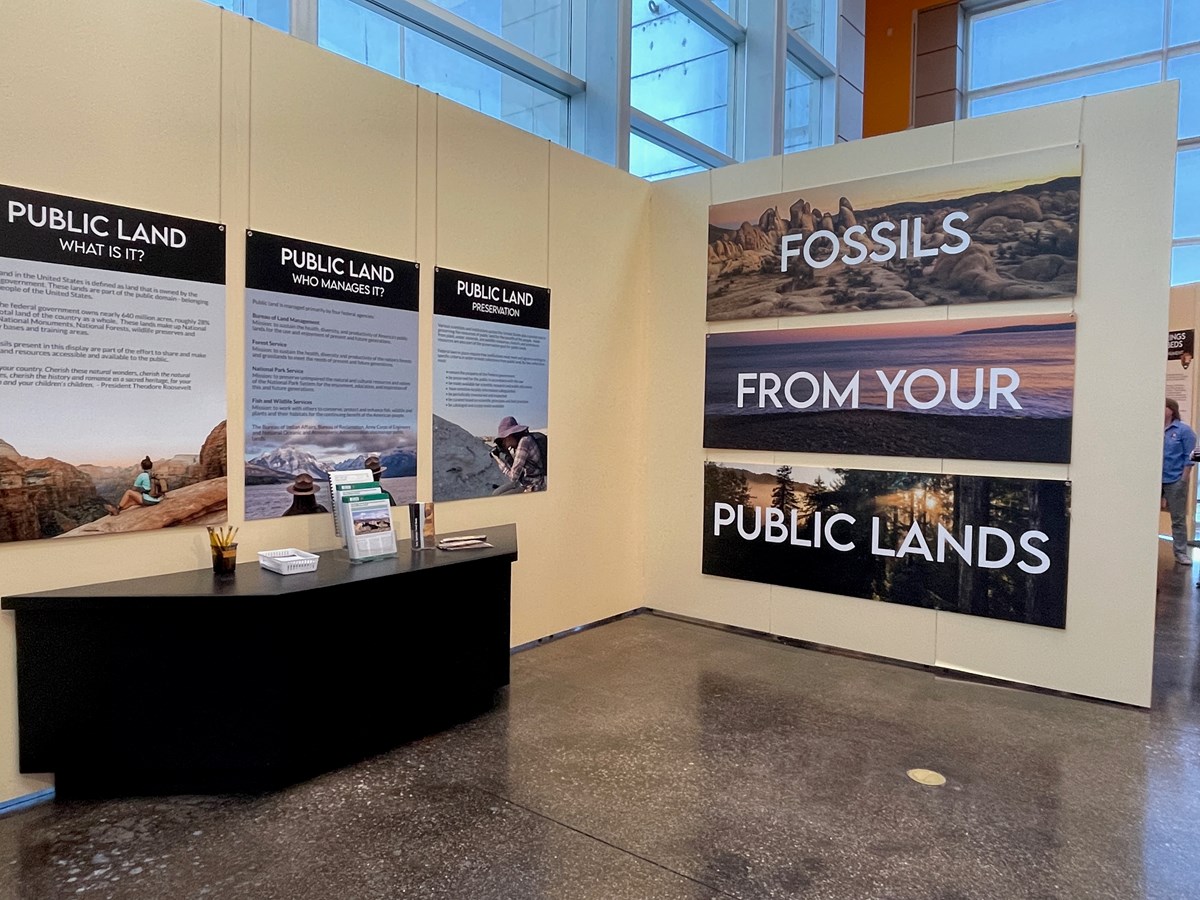 From Sea to Shining Sea: "Fossils from Your Public Lands" at the ...