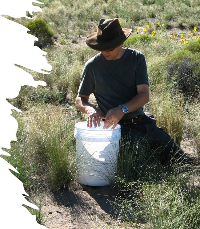 Project Profile: Produce Seed for Intermountain Grasslands (U.S ...