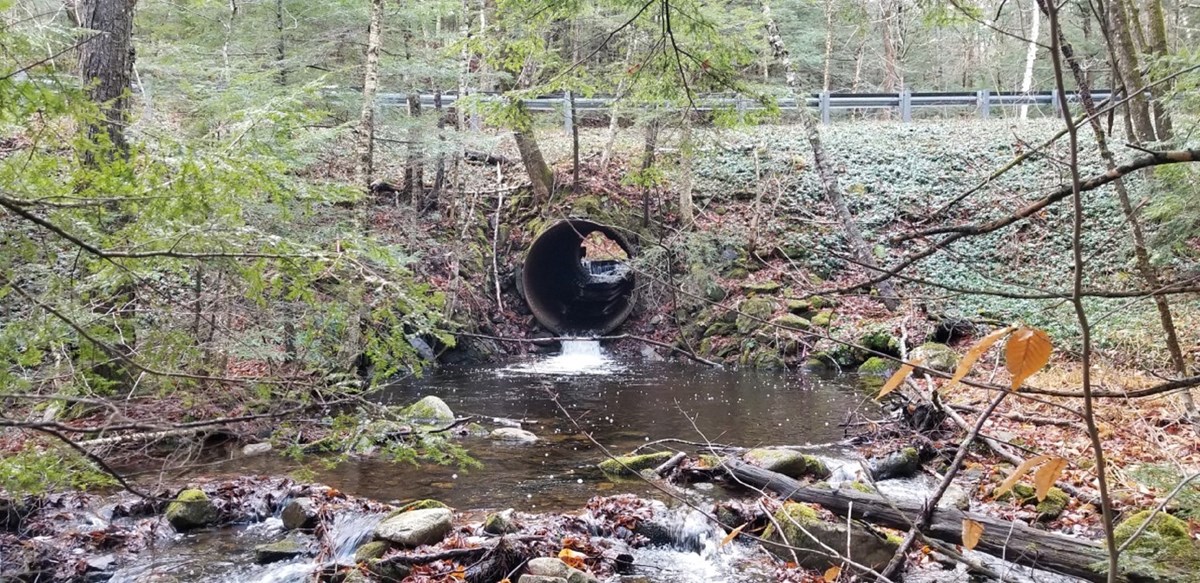 Partner Spotlight | Tackling Culvert Problems in the Westfield ...