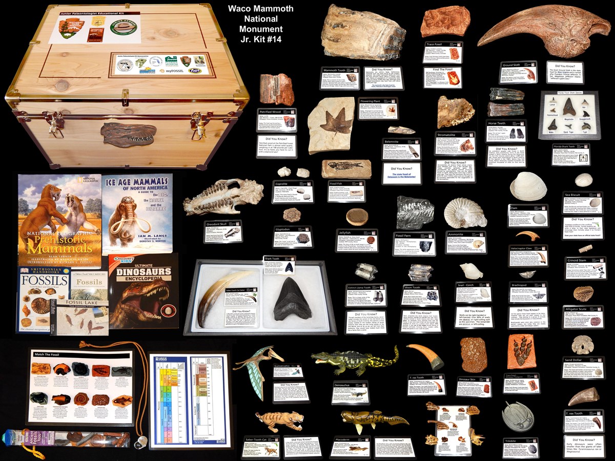 Junior Paleontologist Educational Kits (U.S. National Park Service)