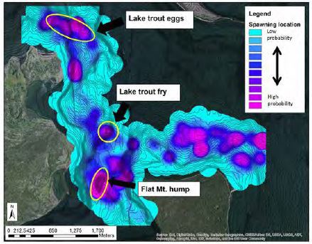 Identifying Movement Patterns and Spawning Areas of Lake Trout in ...