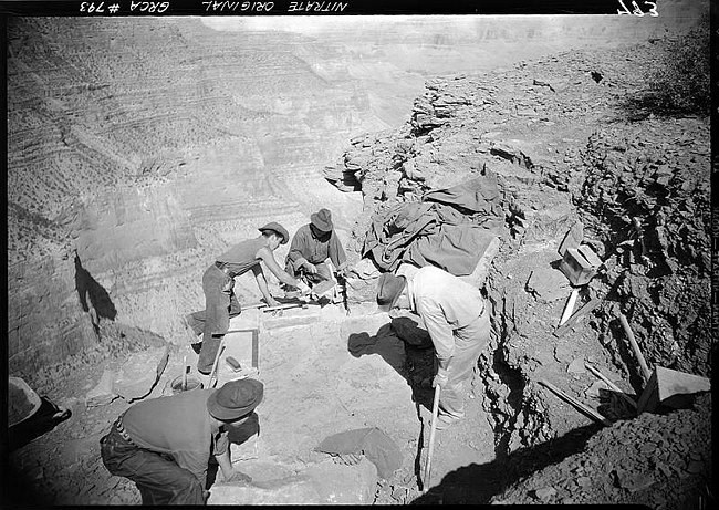 Fossils of the 2019 National Fossil Day Artwork (U.S. National Park ...