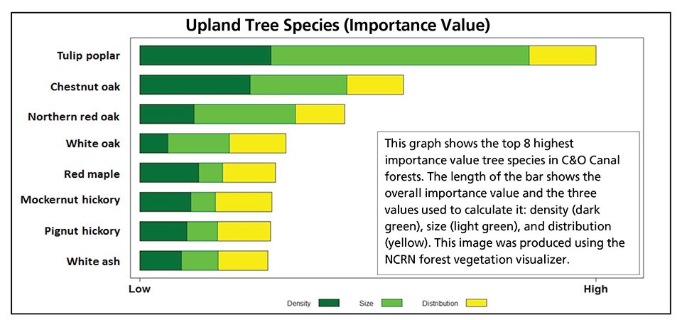 C&O Trees in Uplands and Lowlands (U.S. National Park Service)