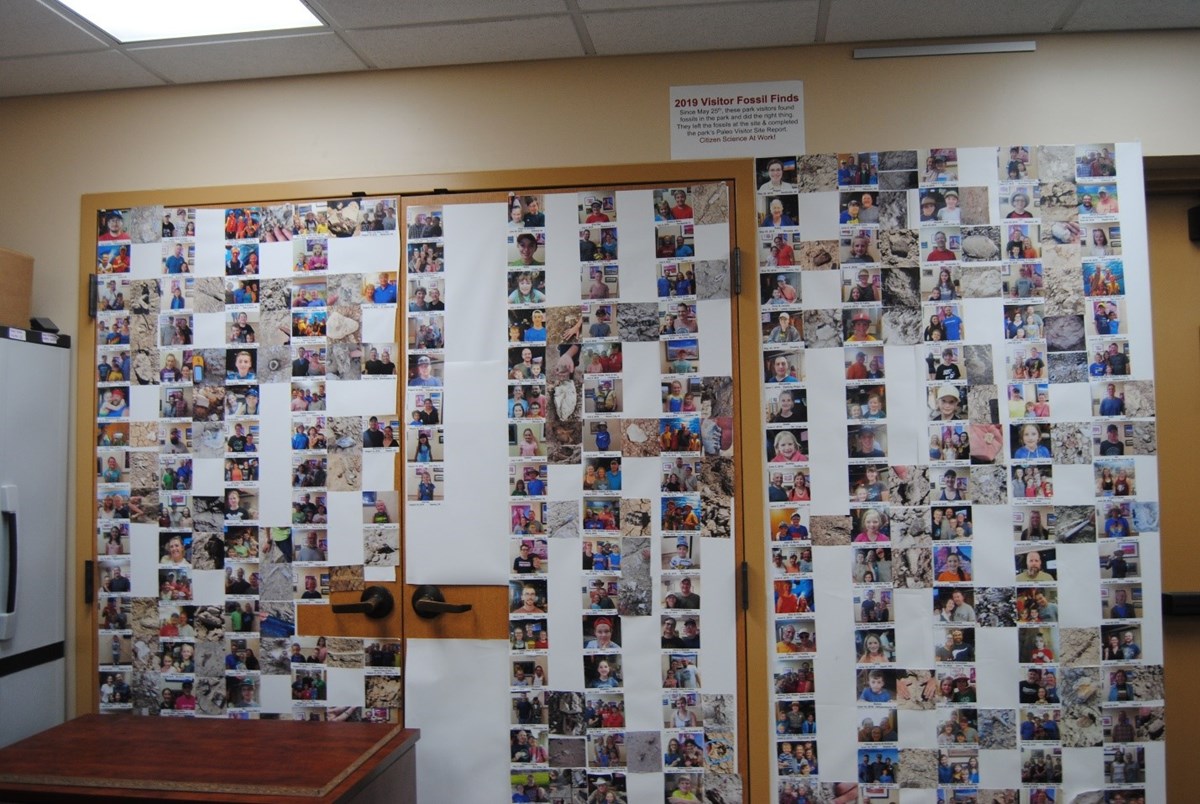 Good Times in the Badlands—Science, Education, and Public ...