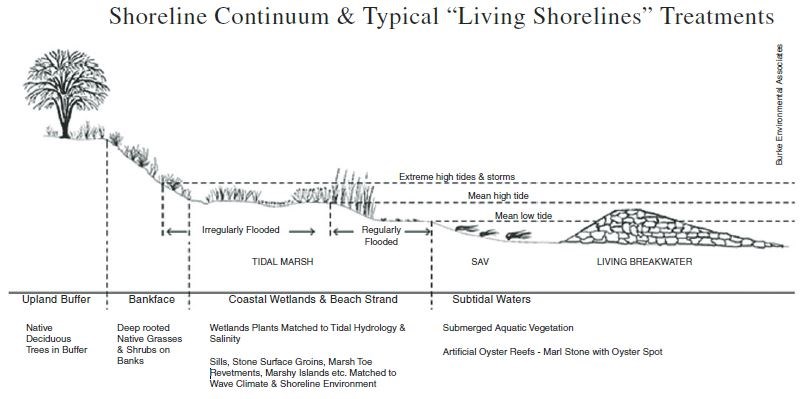 Monitoring Coastal Geologic Features and Processes (U.S. National Park ...