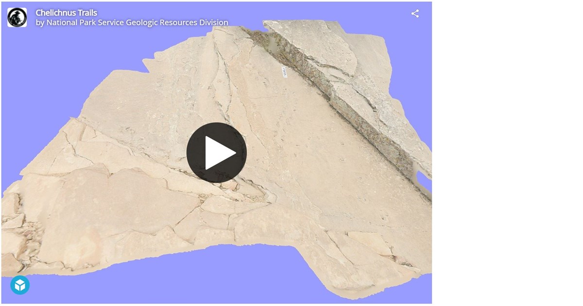 Fossil Tetrapod Foot Prints (U.S. National Park Service)