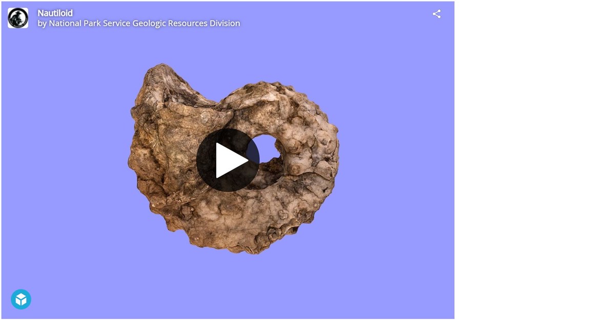 Coiled Nautiloid (U.S. National Park Service)