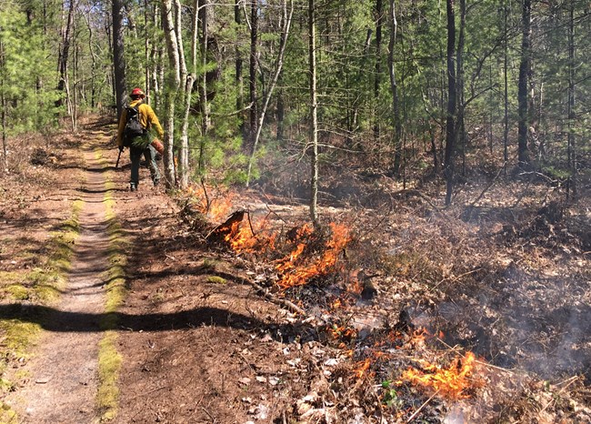 First Ever Prescribed Fire at Sleeping Bear Dunes (U.S. National Park ...