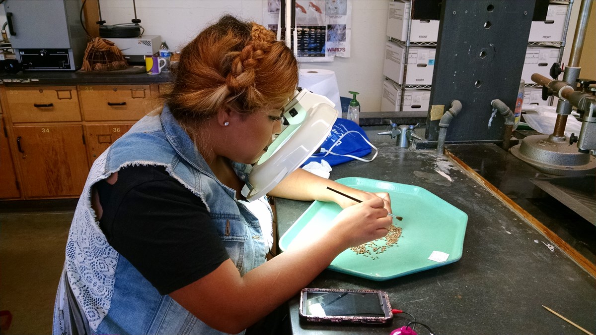 The Archeology Lab (U.S. National Park Service)