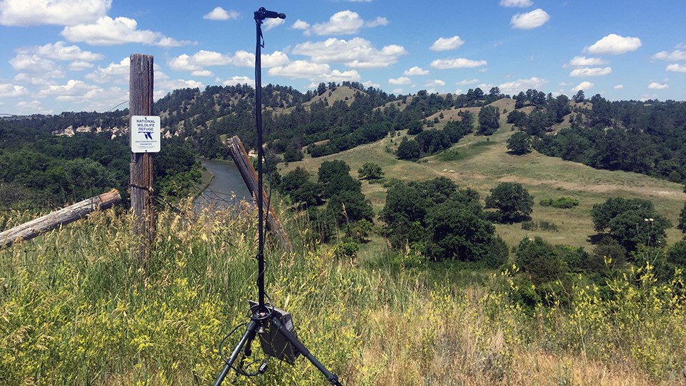Bat Acoustic Monitoring at Niobrara National Scenic River (U.S ...