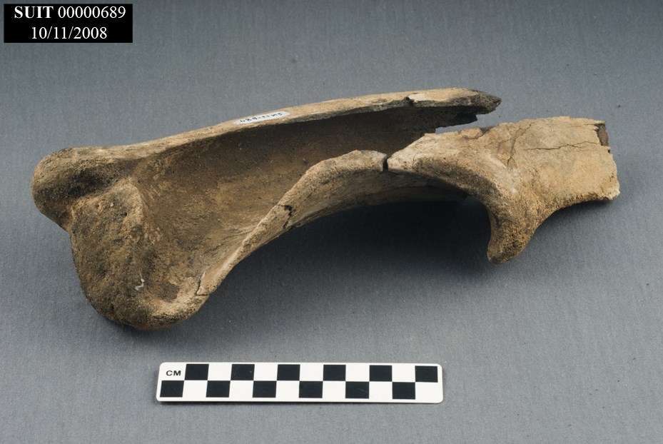 The Paleontological Resources of National Capital Parks East (U.S ...
