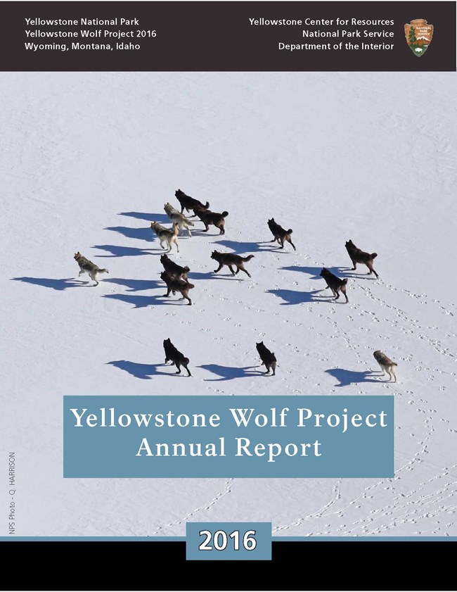 Yellowstone Wolf Project Report 2016 (U.S. National Park Service)