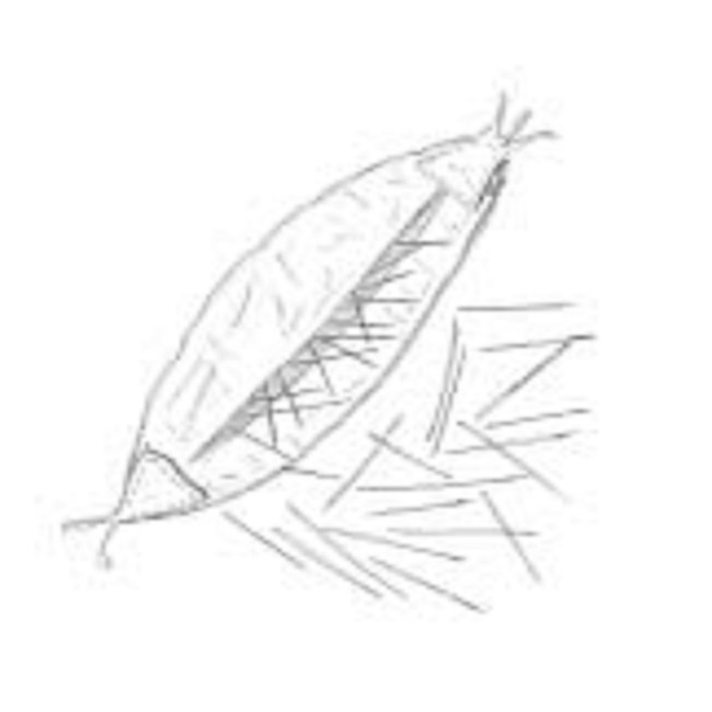 Arts, Crafts, Clothing and Appearance (U.S. National Park Service)