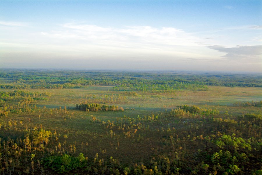 Nature - Big Cypress National Preserve (U.S. National Park Service)