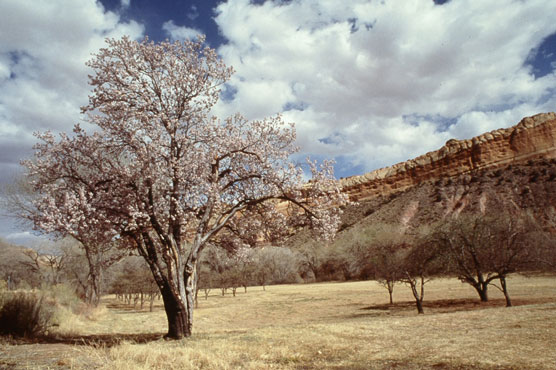 2013 Spring Hours of Operation - Capitol Reef National Park (U.S ...