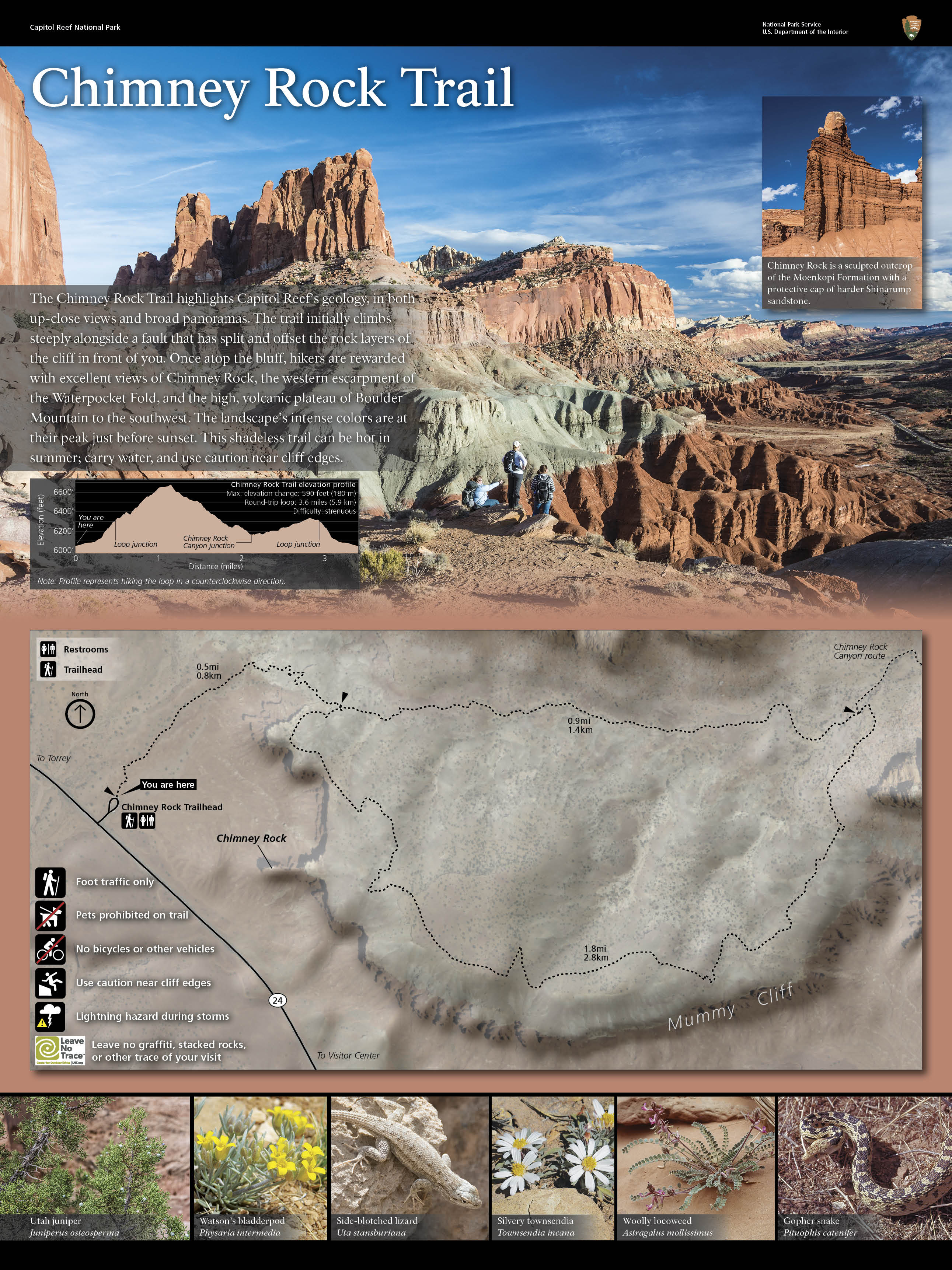 National Park Service Proposes Ways To Improve Capitol Reef Visitation