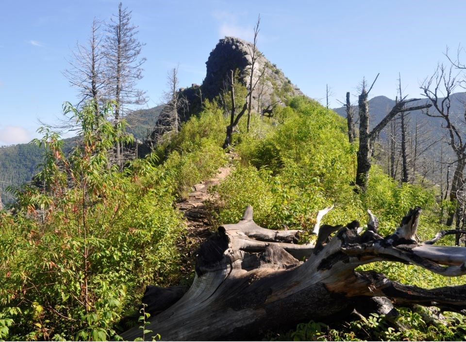 Chimney Tops 2 Fire Repeat Photography - Great Smoky Mountains National ...