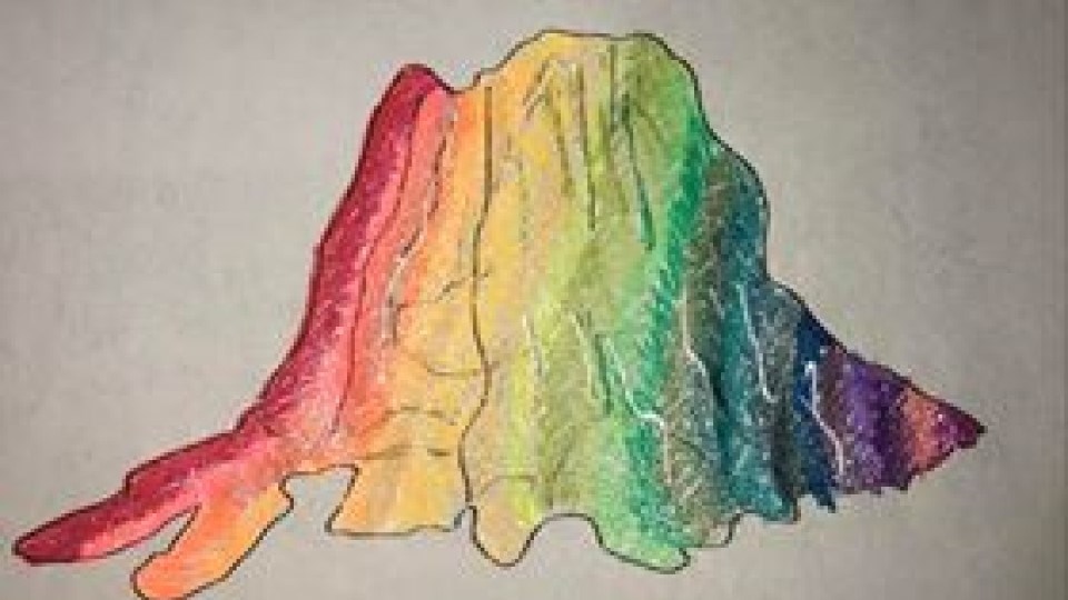 Draw Your Own Big Stump Face Challenge (U.S. National Park Service)