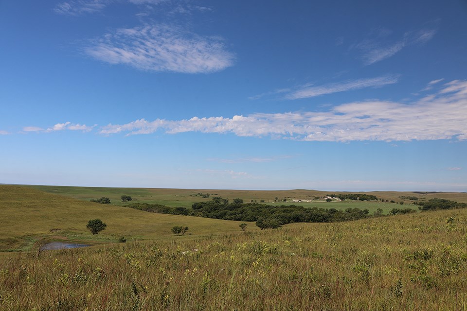 Vegetation Community Monitoring (U.S. National Park Service)