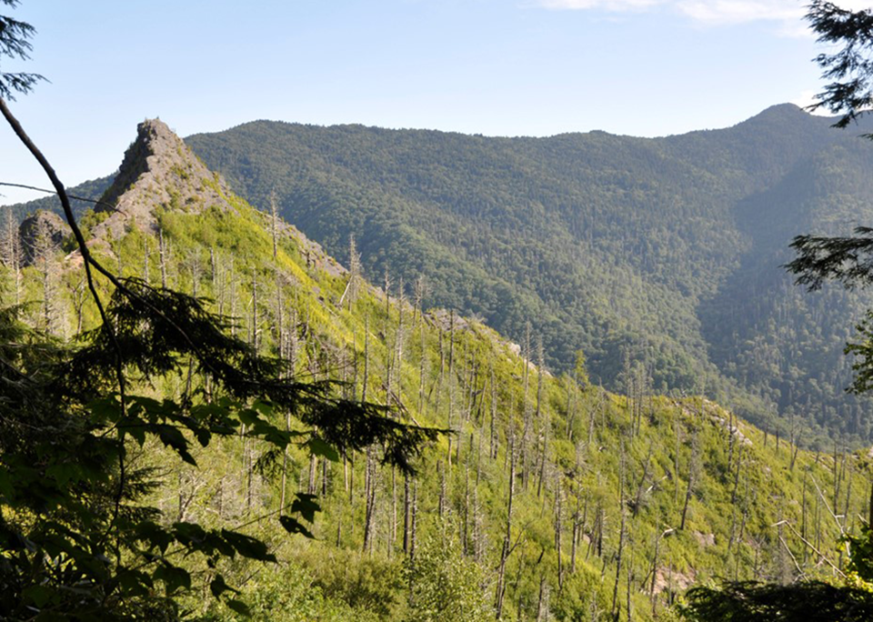 Chimney Tops 2 Fire Repeat Photography - Great Smoky Mountains National ...