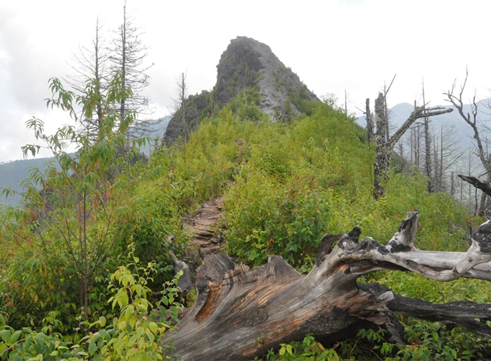 Chimney Tops 2 Fire Repeat Photography - Great Smoky Mountains National ...