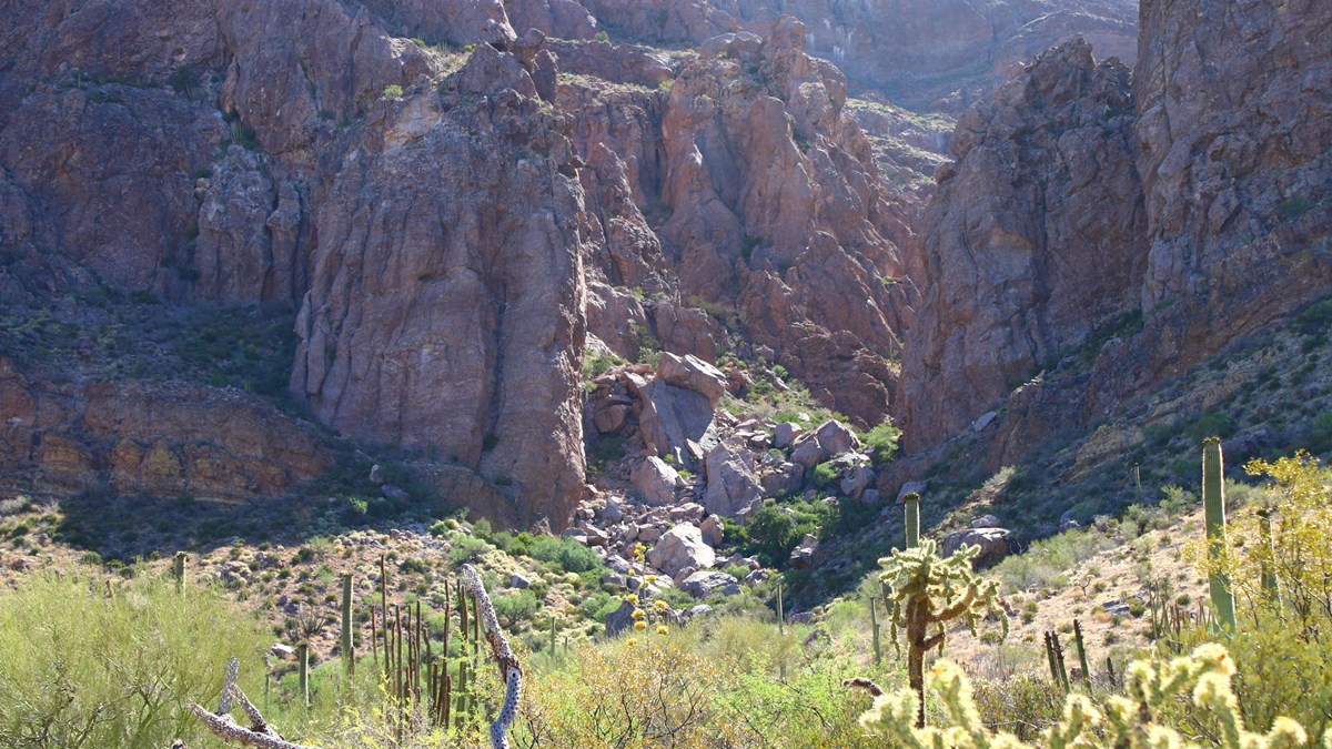 Drive the Ajo Mountain Loop (U.S. National Park Service)