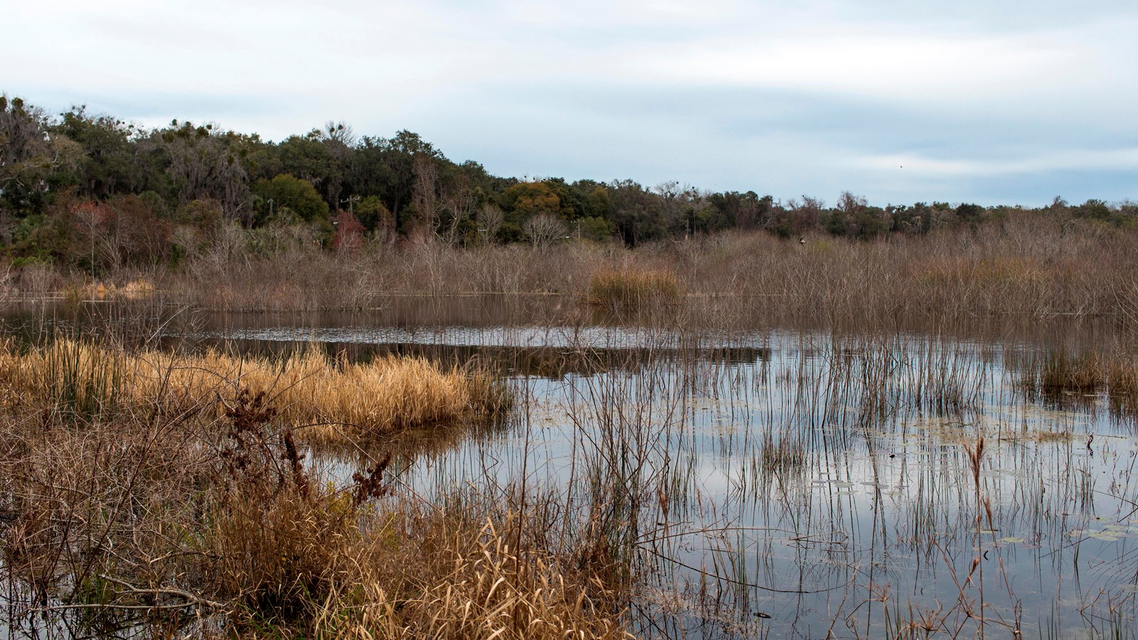 Spanish Pond (U.S. National Park Service)