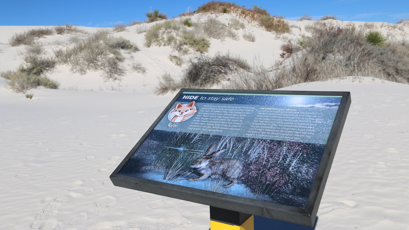 "Hide to Stay Safe" Interpretive Sign (U.S. National Park Service)