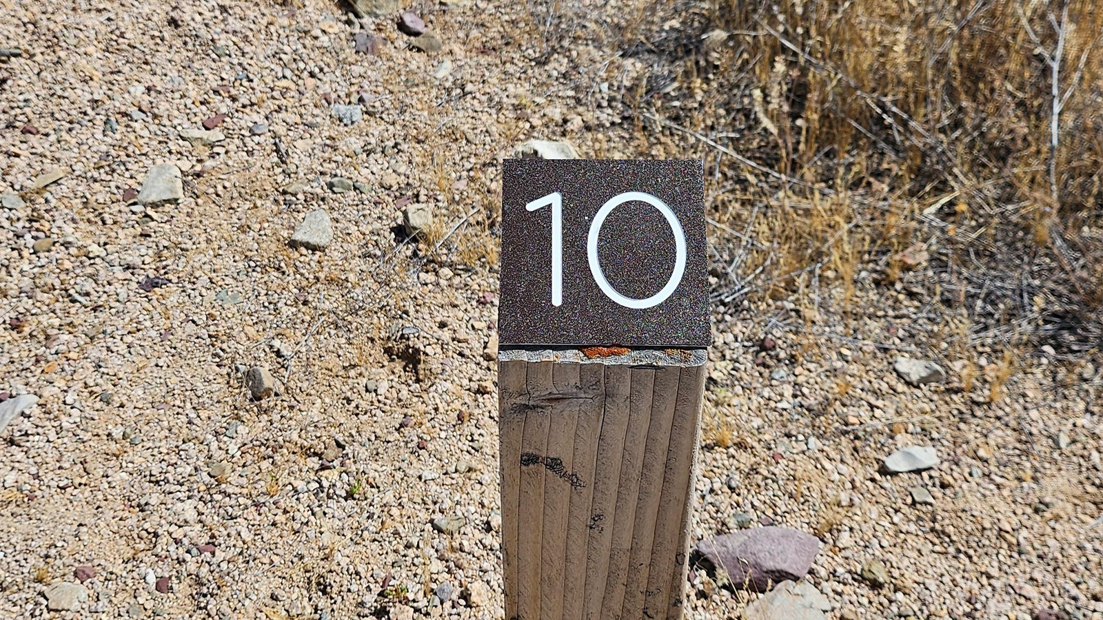 Signs of Life, Self-Guided Tour Stop 10 (U.S. National Park Service)