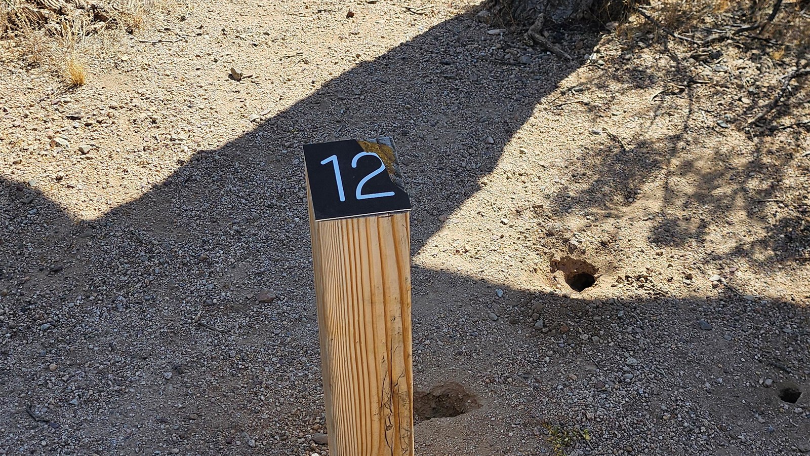 Signs of Life, Self-Guided Tour Stop 12 (U.S. National Park Service)