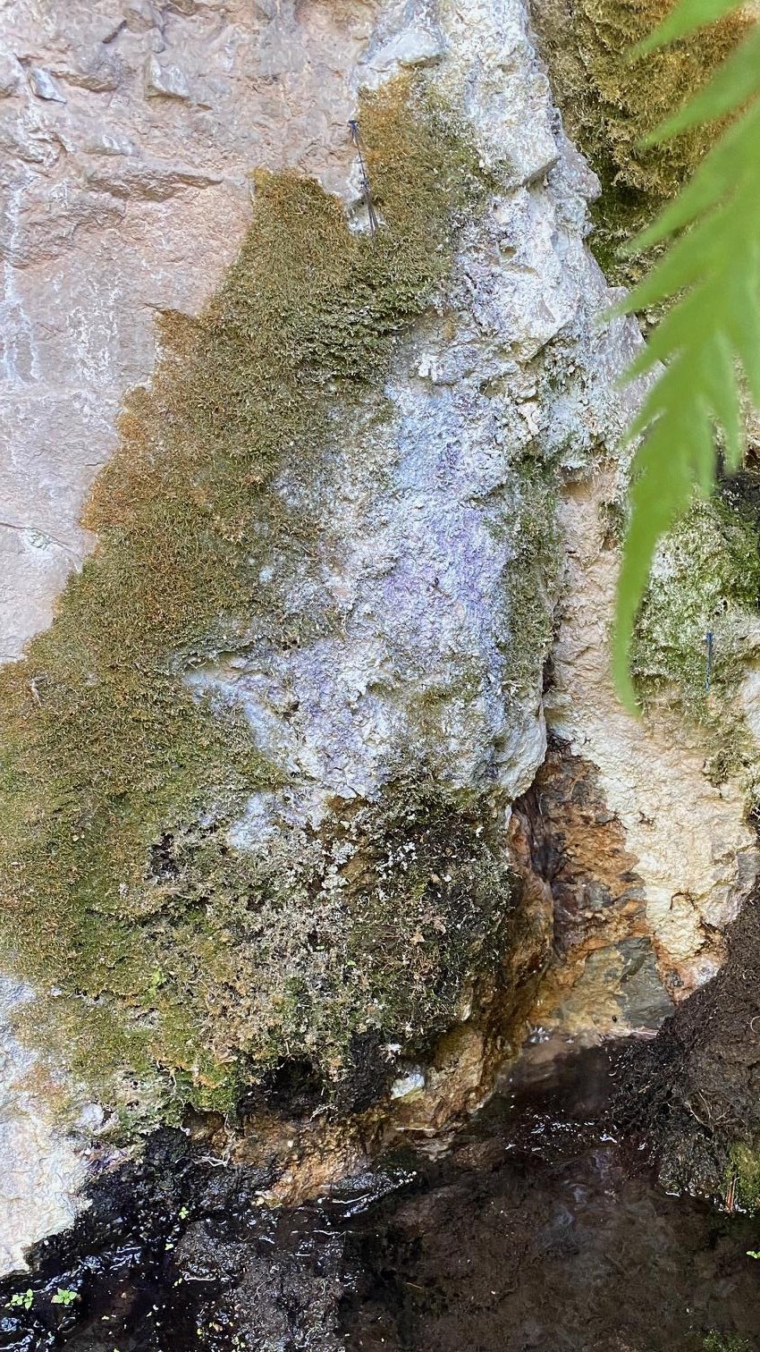 Moses Spring (U.S. National Park Service)