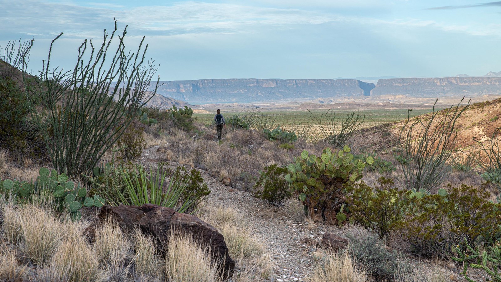 Burro Spring Trail (U.S. National Park Service)
