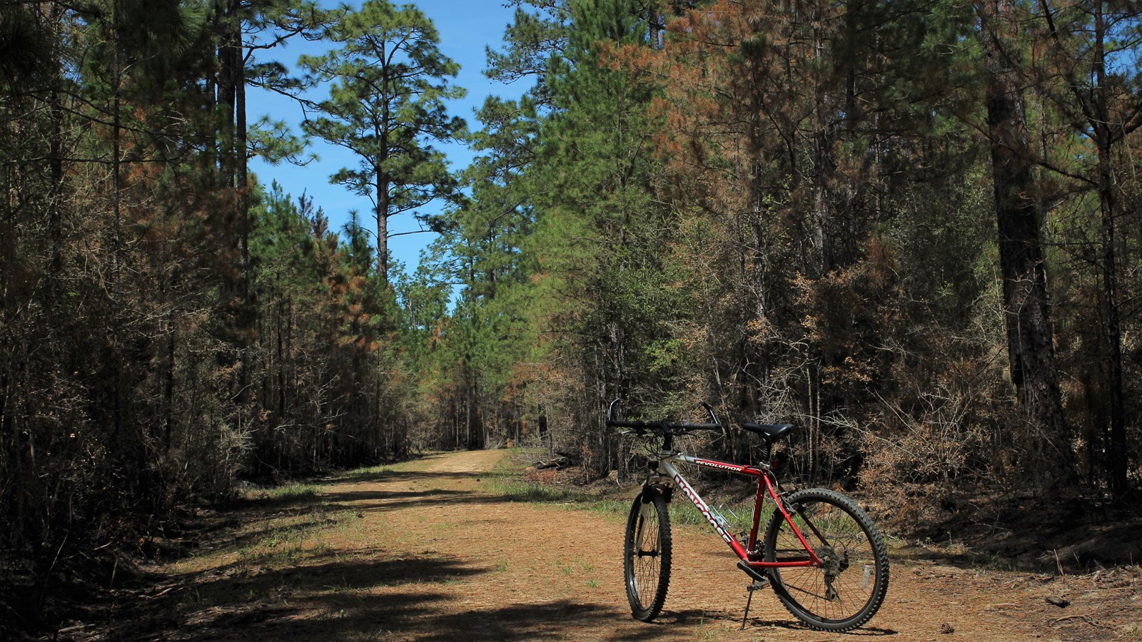 Big Sandy Trail (U.S. National Park Service)